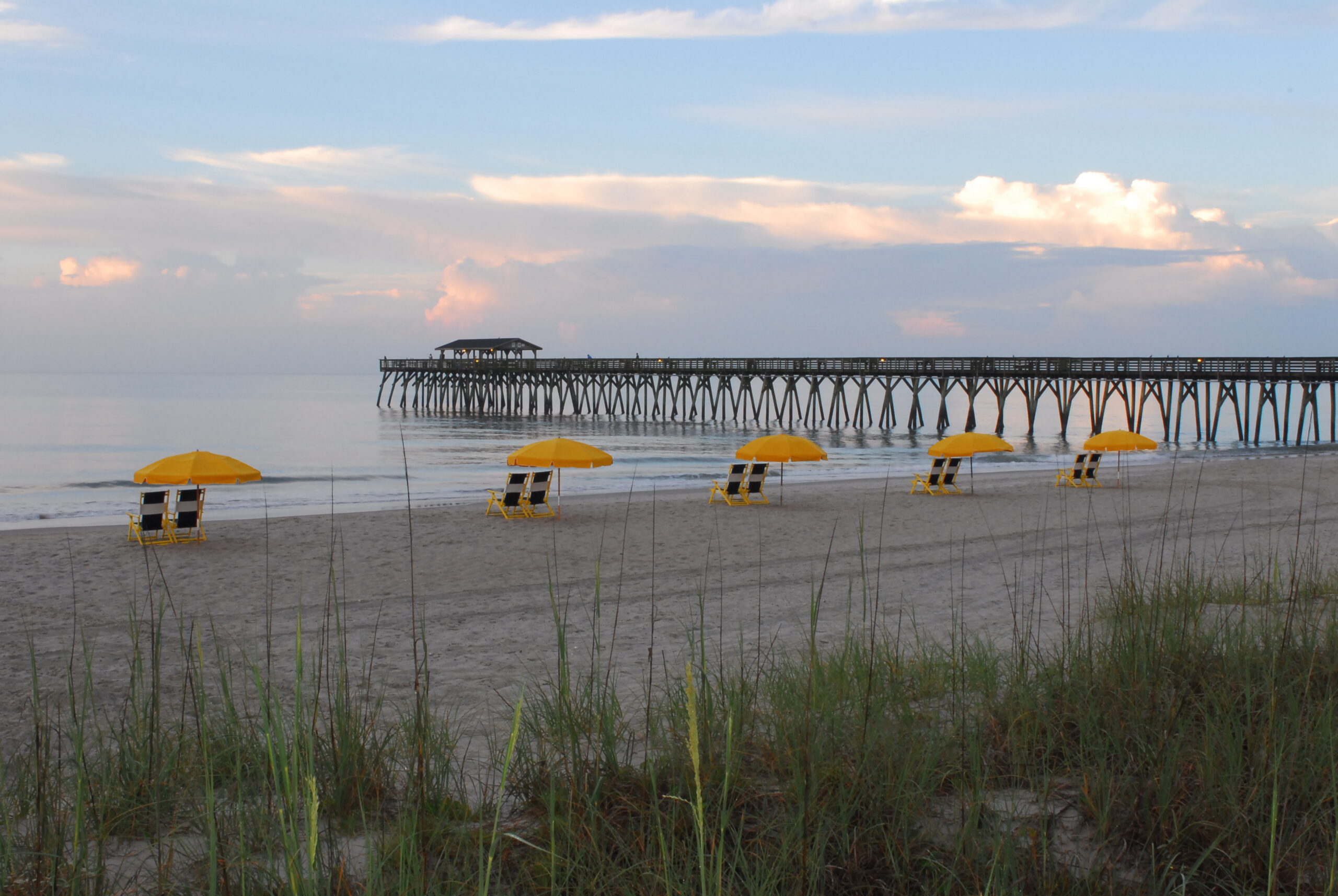 6 Stunning Spots for Taking Great Nature Photos on the Grand Strand ...